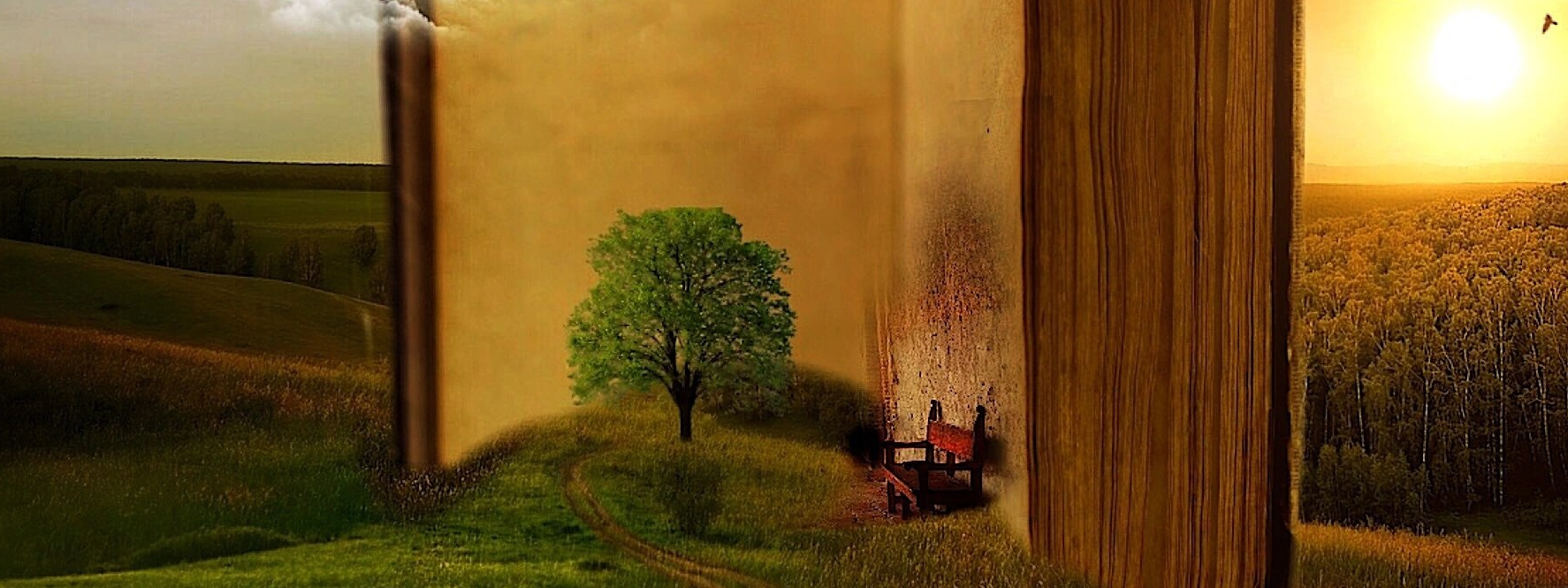 L’arbre du merci – Plumes Chrétiennes